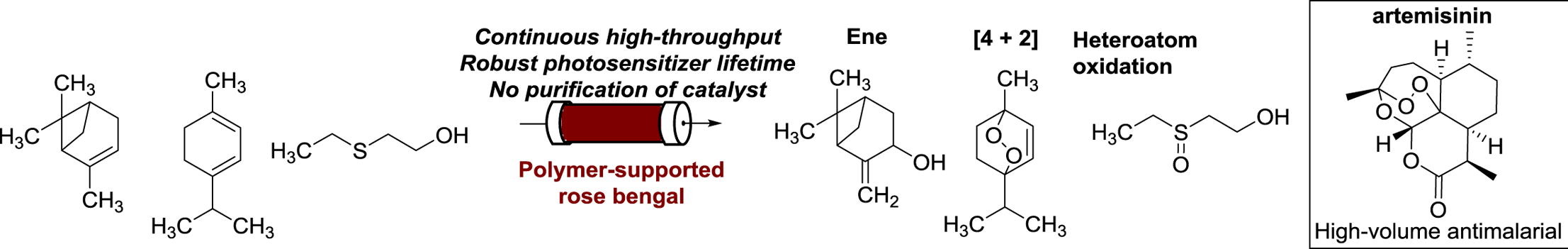 High throughput photo-oxidations in a packed bed reactor system - Vapourtec