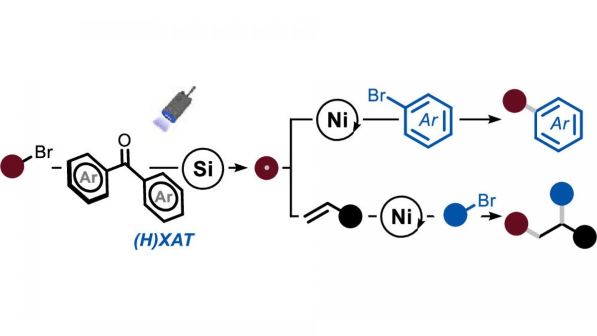 The Merger of Benzophenone HAT Photocatalysis and Silyl Radical-Induced ...