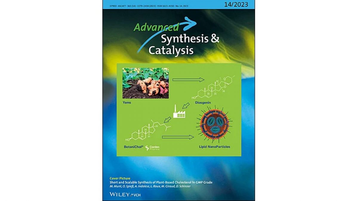 Modular Photochemical Flow Synthesis of Structurally Diverse Benzyne ...