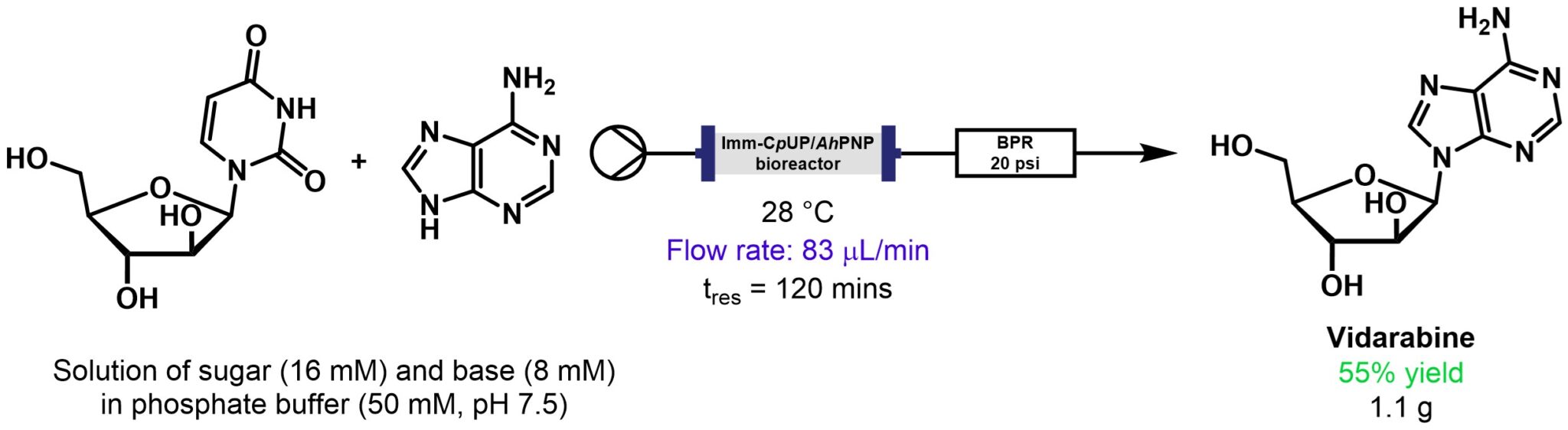 Enzymatic Reactions | Biocatalysis | Bioreactions | Vapourtec