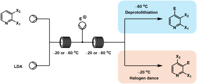 Lithiation | Organolithium Reagents | Chemical Processes