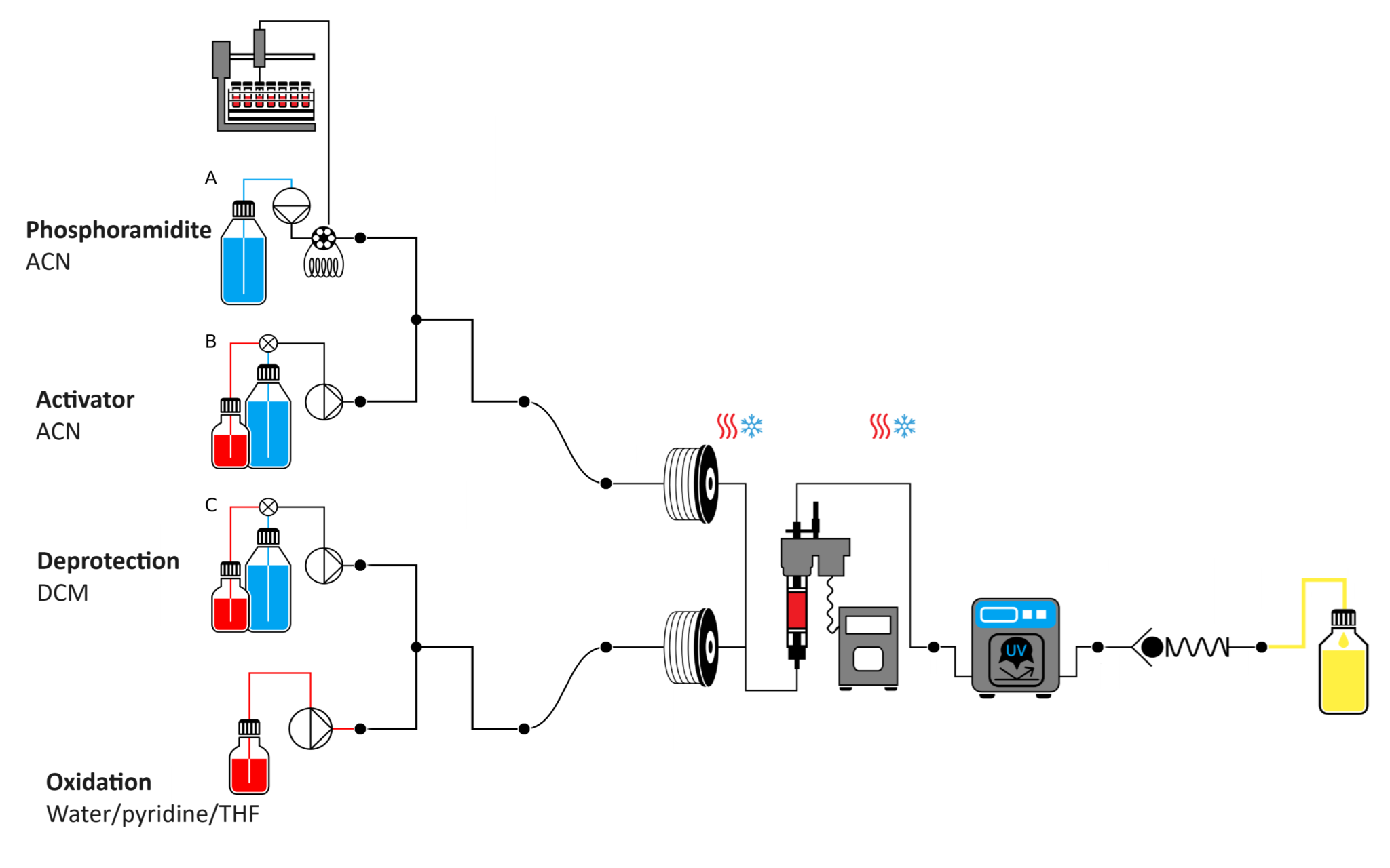 Oligonucleotide Synthesis | Solid-Phase | DNA/RNA Building Block