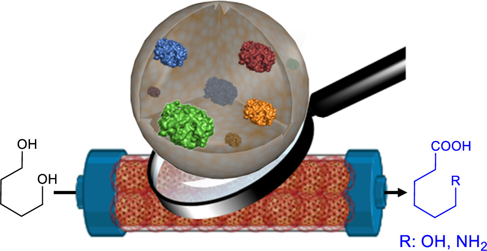 Heterogeneous Biocatalysts Maximizes Cell-Free Biosynthesis - Vapourtec