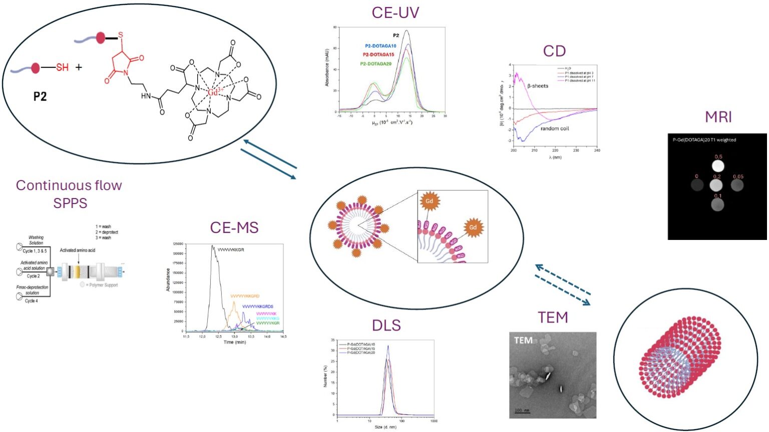 Peptide Synthesis | Solid-Phase | SPPS | Peptide Research