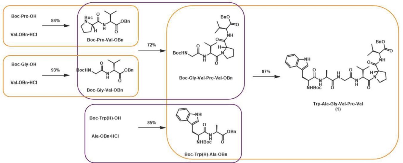 Liquid phase peptide synthesis (LPPS) in flow - Vapourtec